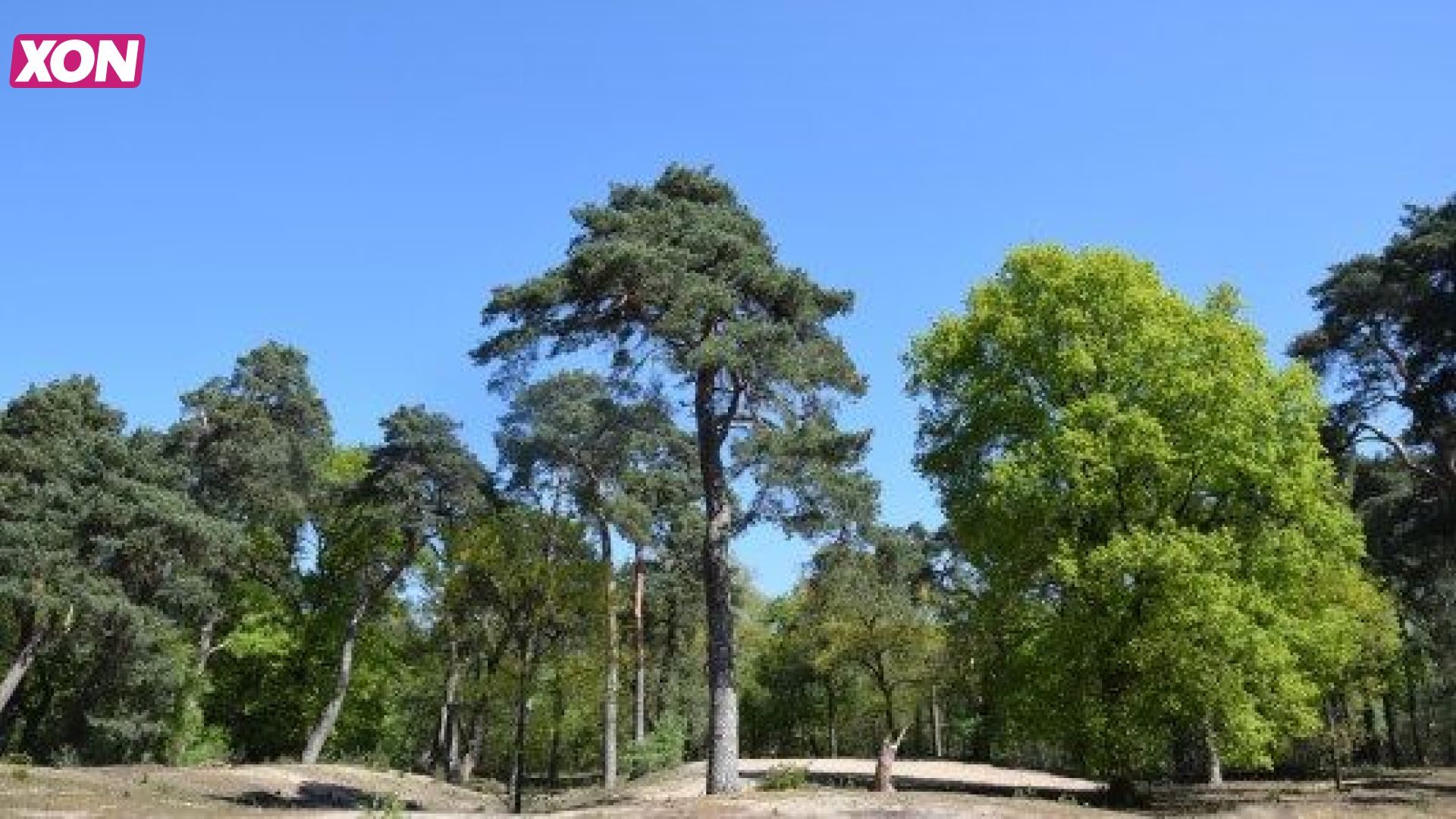 Historische wandeling, De Sysselt – XON | 1 VALLEI