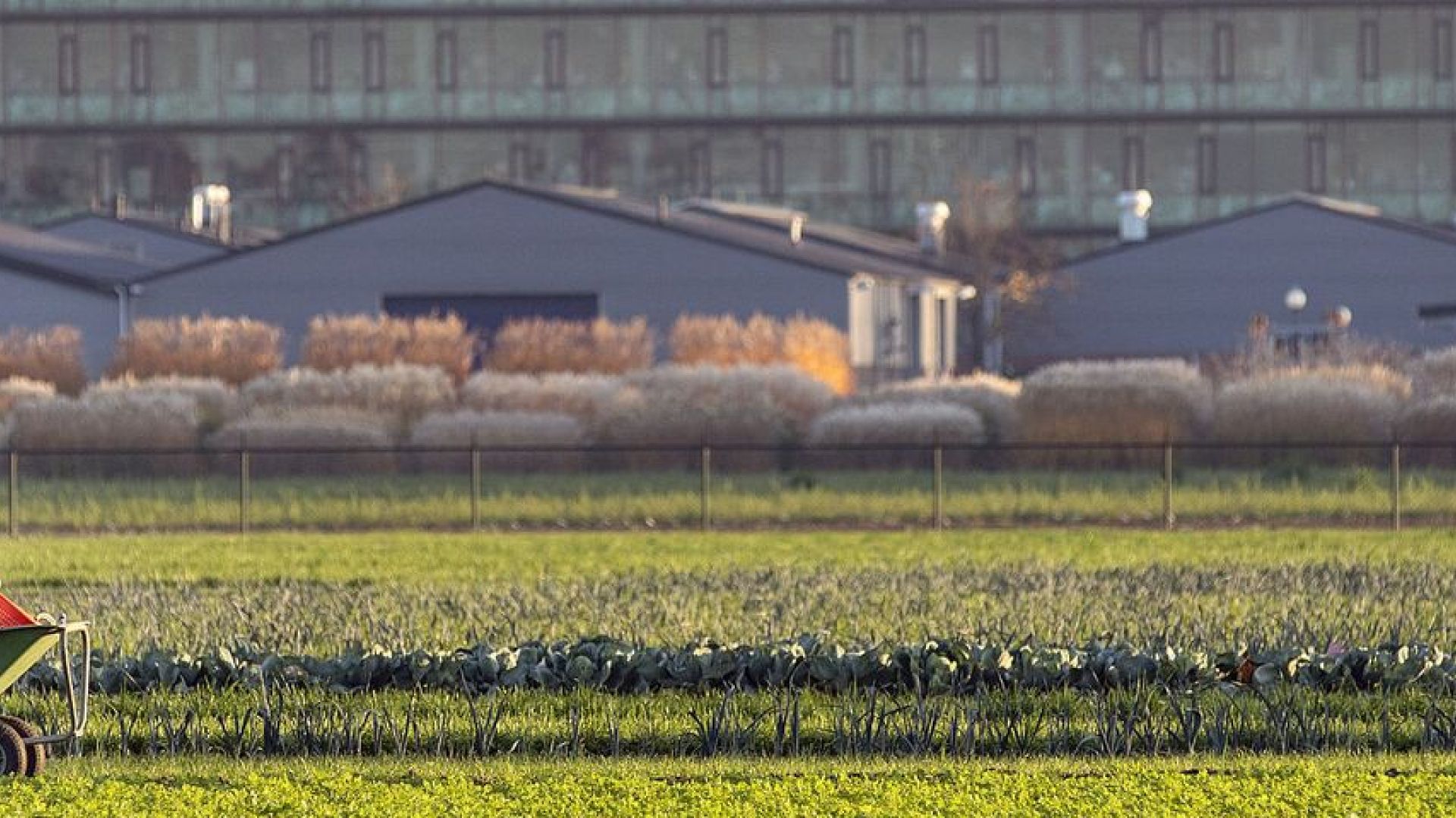 Regio Foodvalley nodigt LVVN-minister Wiersma uit – XON | 1 VALLEI