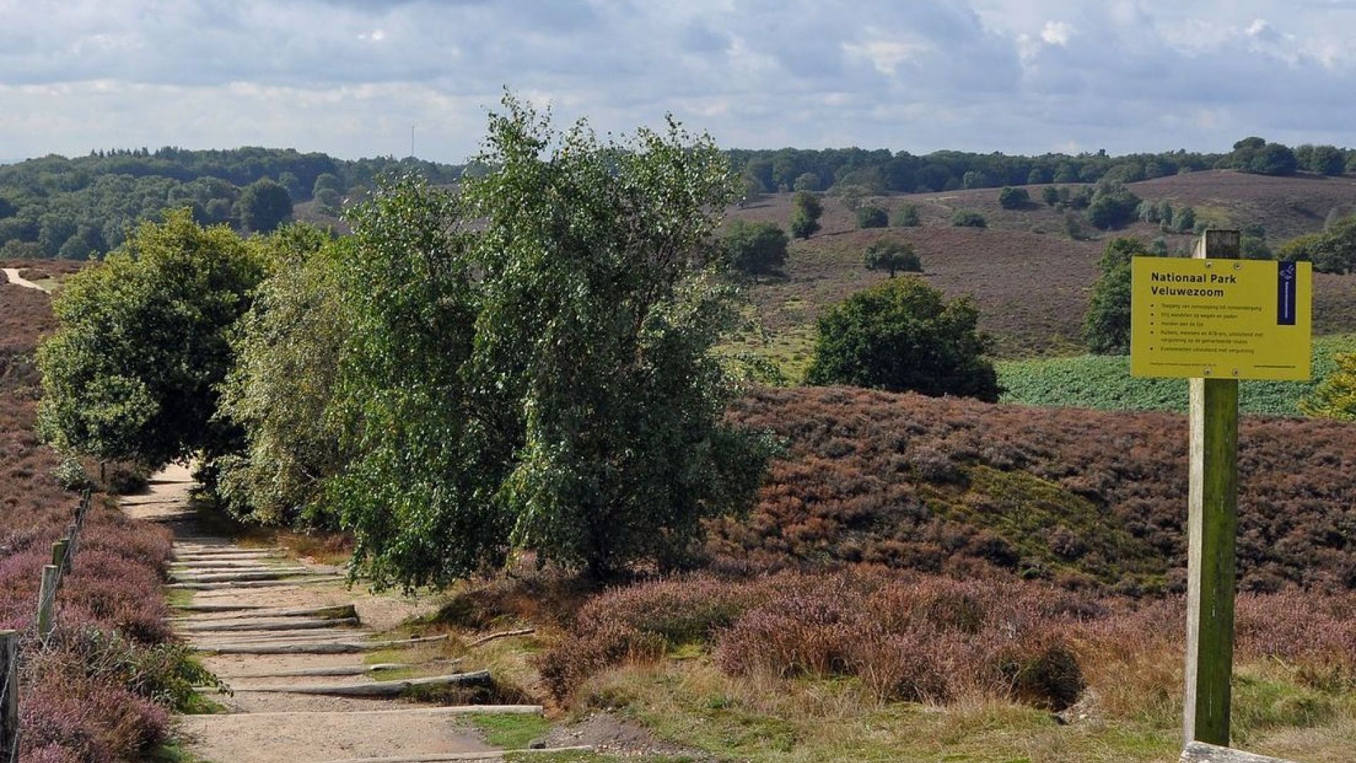 Miljoenenbezuiniging op natuurparken van tafel: ‘Dit is geweldig’ – XON | 1 VALLEI
