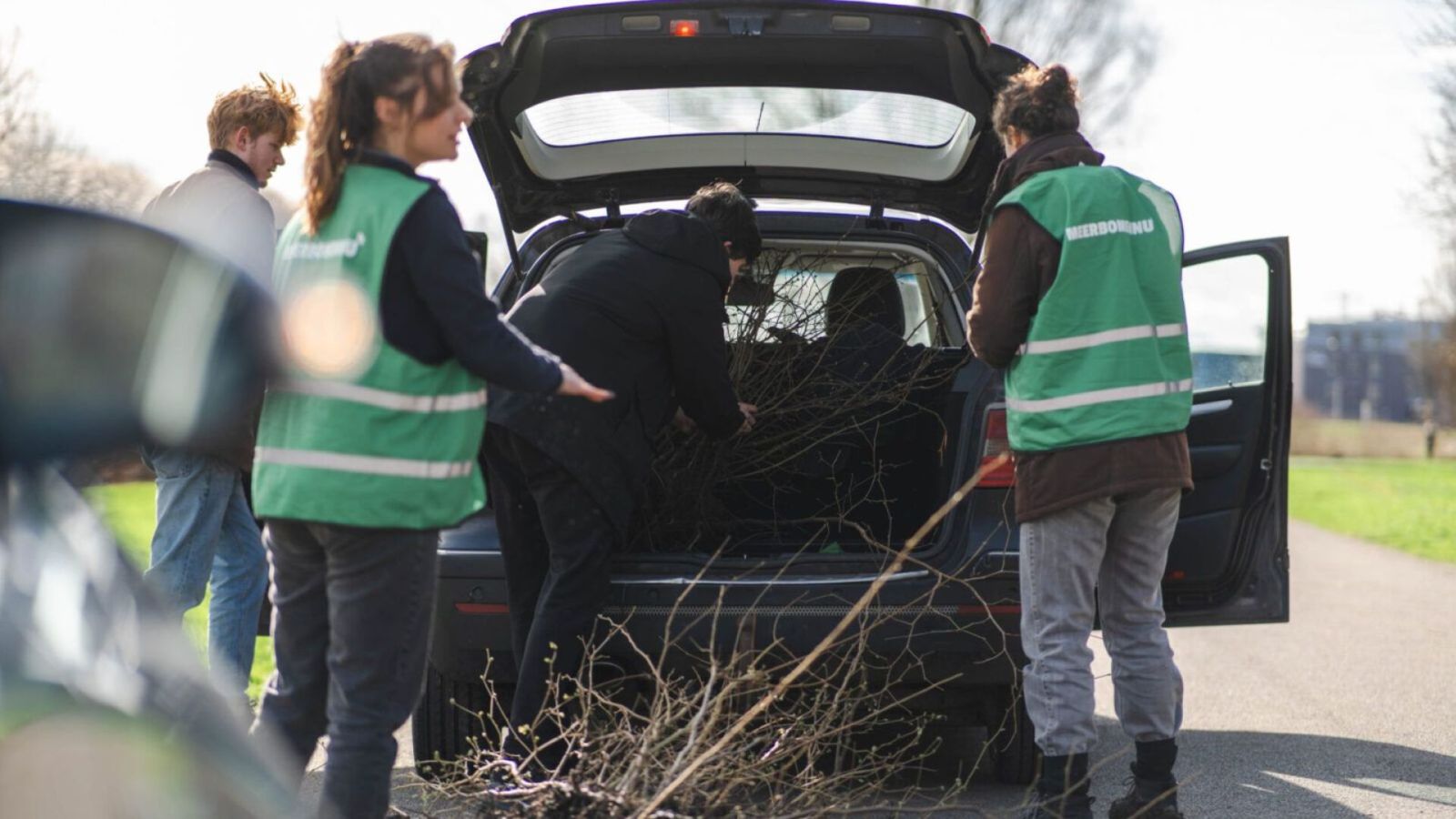 Duizenden bomen krijgen adoptieadres: in Ede zijn ze begonnen met ...